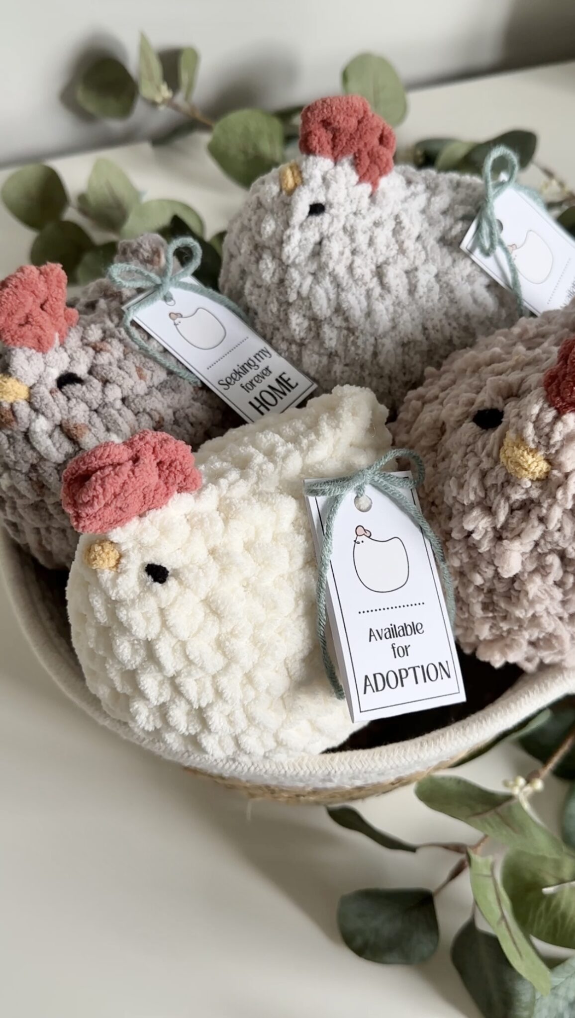 Mabel Chicken™ Adoption Kit Printable PDF (ENGLISH and FRENCH) - Oak ...