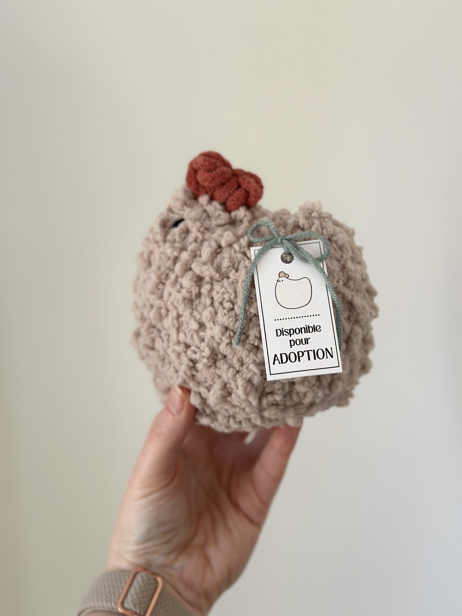 Mabel Chicken™ Adoption Kit Printable PDF (ENGLISH and FRENCH) - Oak ...